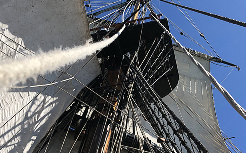 Hammocks & Futtocks – Cristina Sanders' blog