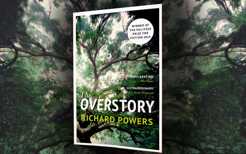 Overstory — book review – Cristina Sanders' blog
