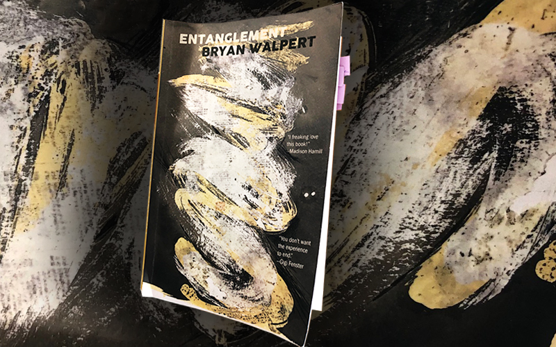 Entanglement — book review – Cristina Sanders' blog